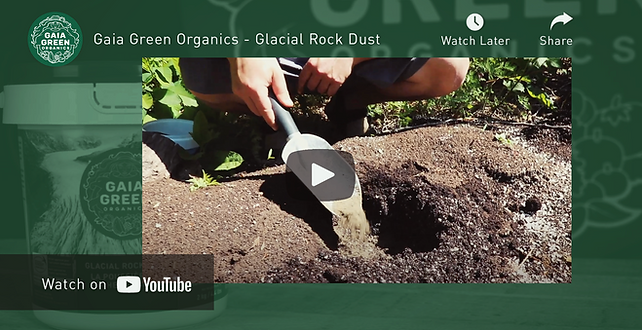 LEARNING | Gaia Green Organics